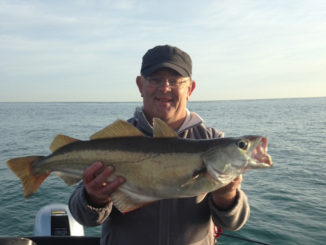 Lieu jaune, nouveau record