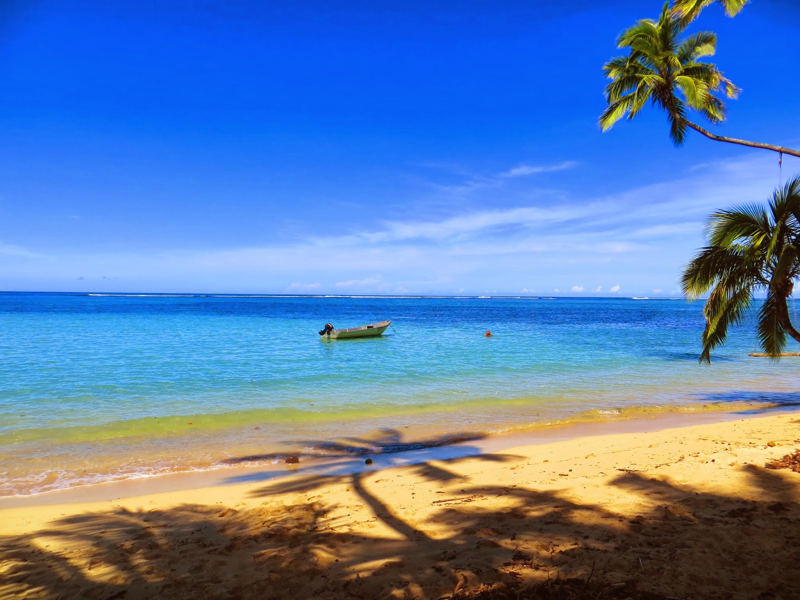 Journeys by Jordan: February 3 - 6, 2014 - Coral Coast, Fiji