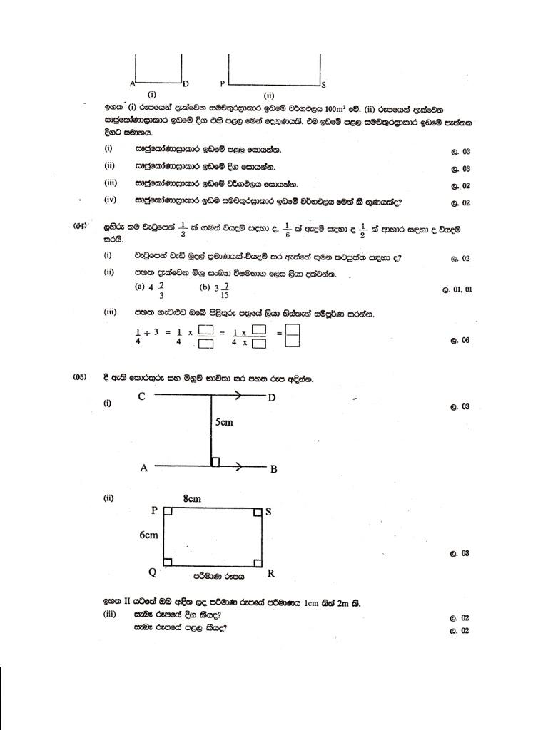 Past papers: Grade 7