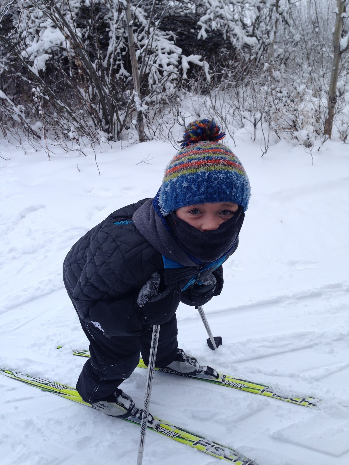 Family Adventures in the Canadian Rockies: A Ski Family's Holiday Gift ...