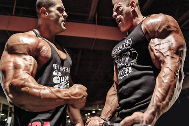 The Modern Era of Bodybuilding - Workout Bodybuilding stretch bands