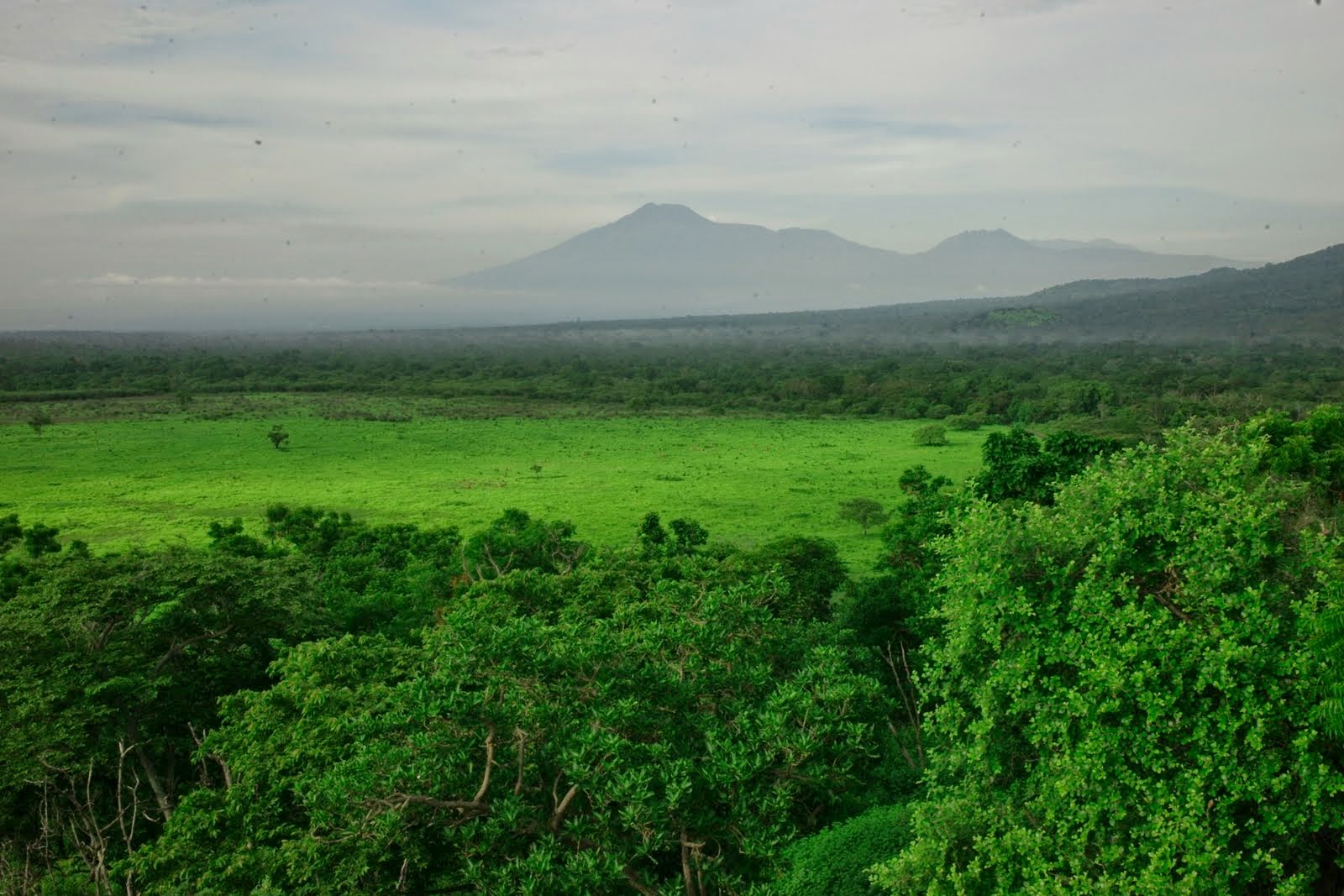 BALURAN NATIONAL PARK - AMAZING ASIA HOLIDAY