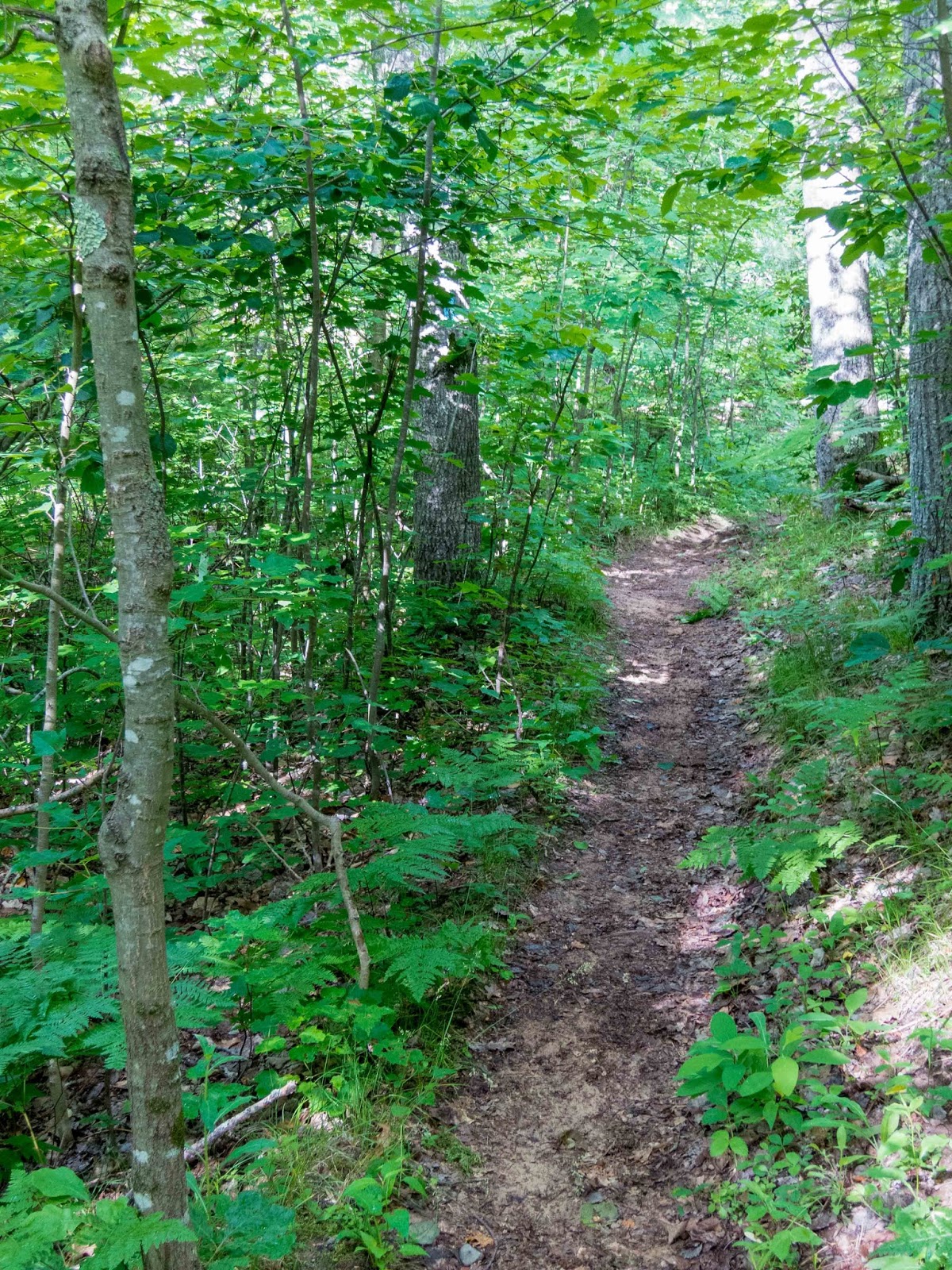Eric's Hikes: Manistee River Trail/NCT Loop Day Hike
