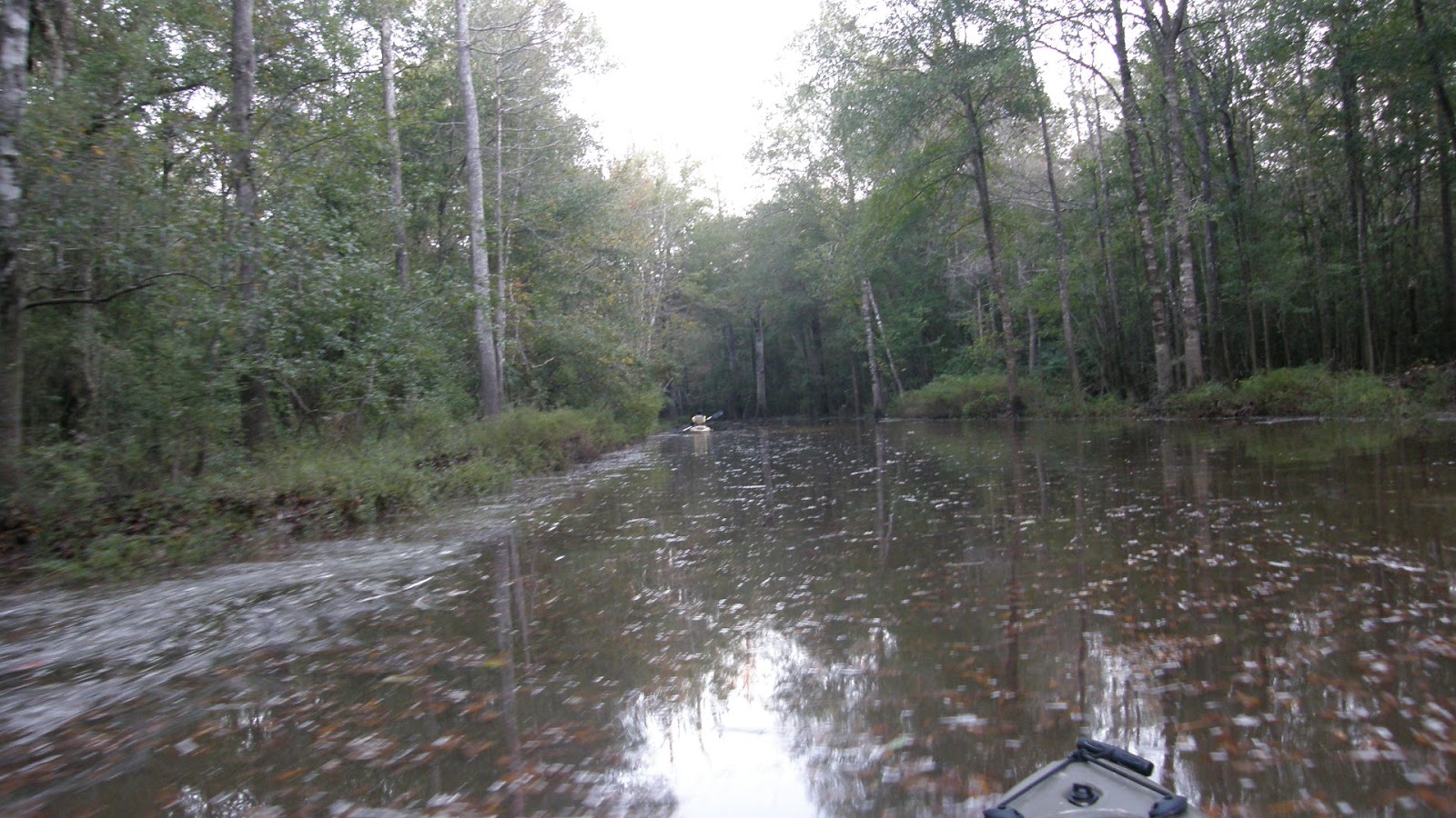 Kints: The Unfathomed: Big Swamp and Big Lake, 22 November 2015
