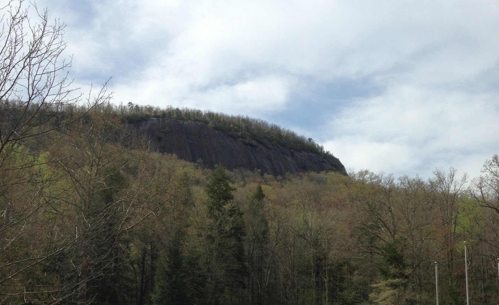 NC BACKCOUNTRY: Fly-fishing on Davidson River