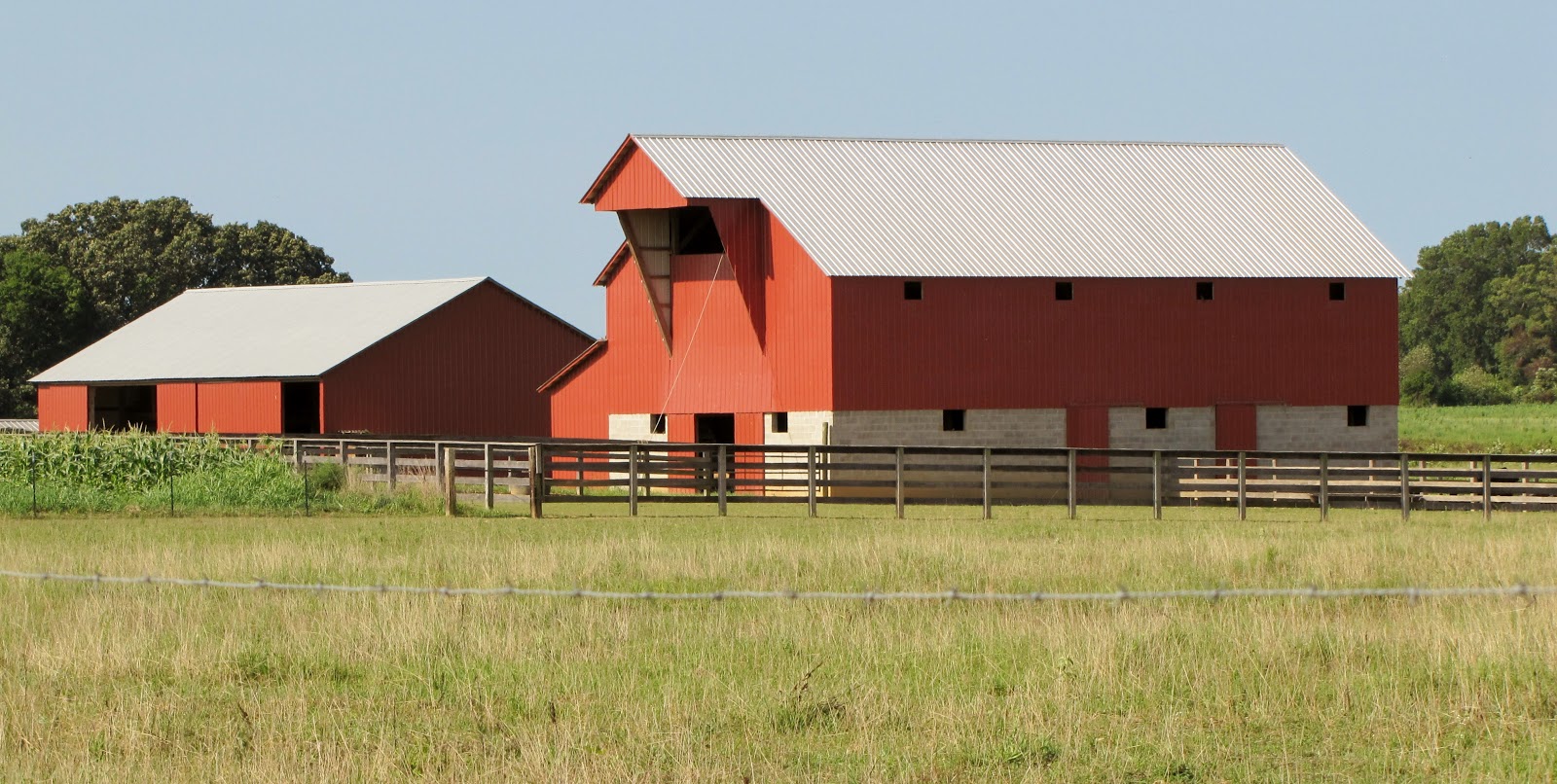 Amish in Stantonville, Tennessee