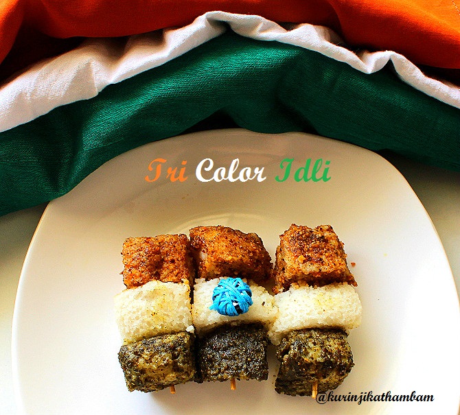 Tri Color Podi Idli ~ Kurinji Kathambam