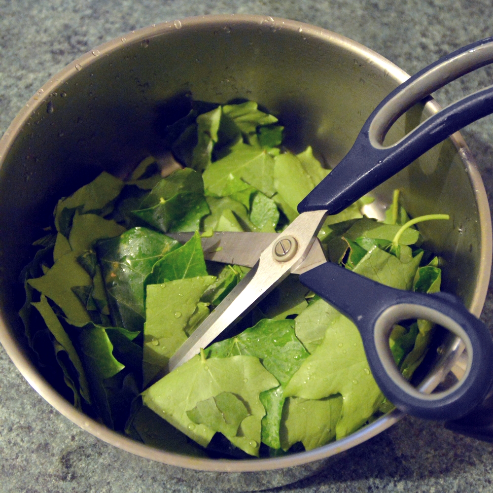 être lessivé par lierre