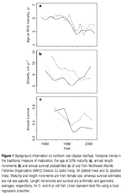 Living Today for Tomorrow: Analyzing Overfishing