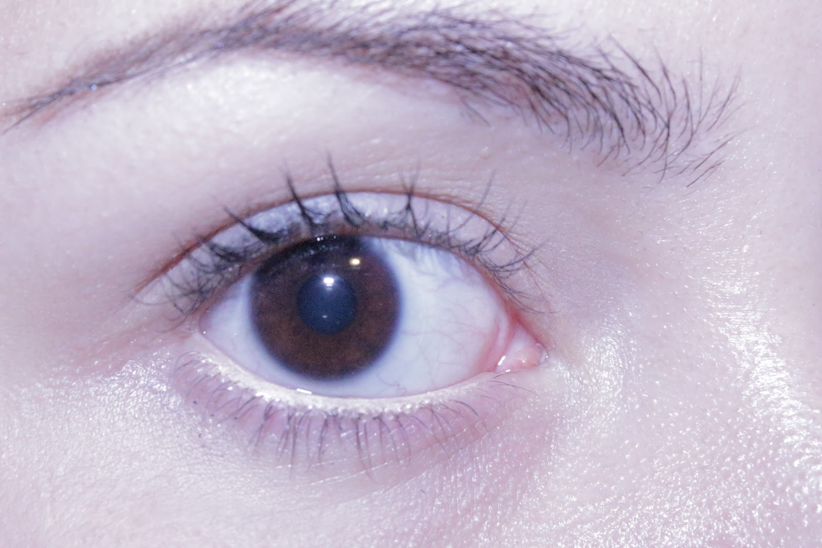 Beauties & Beasts: The Best and Worst of Beauty Products