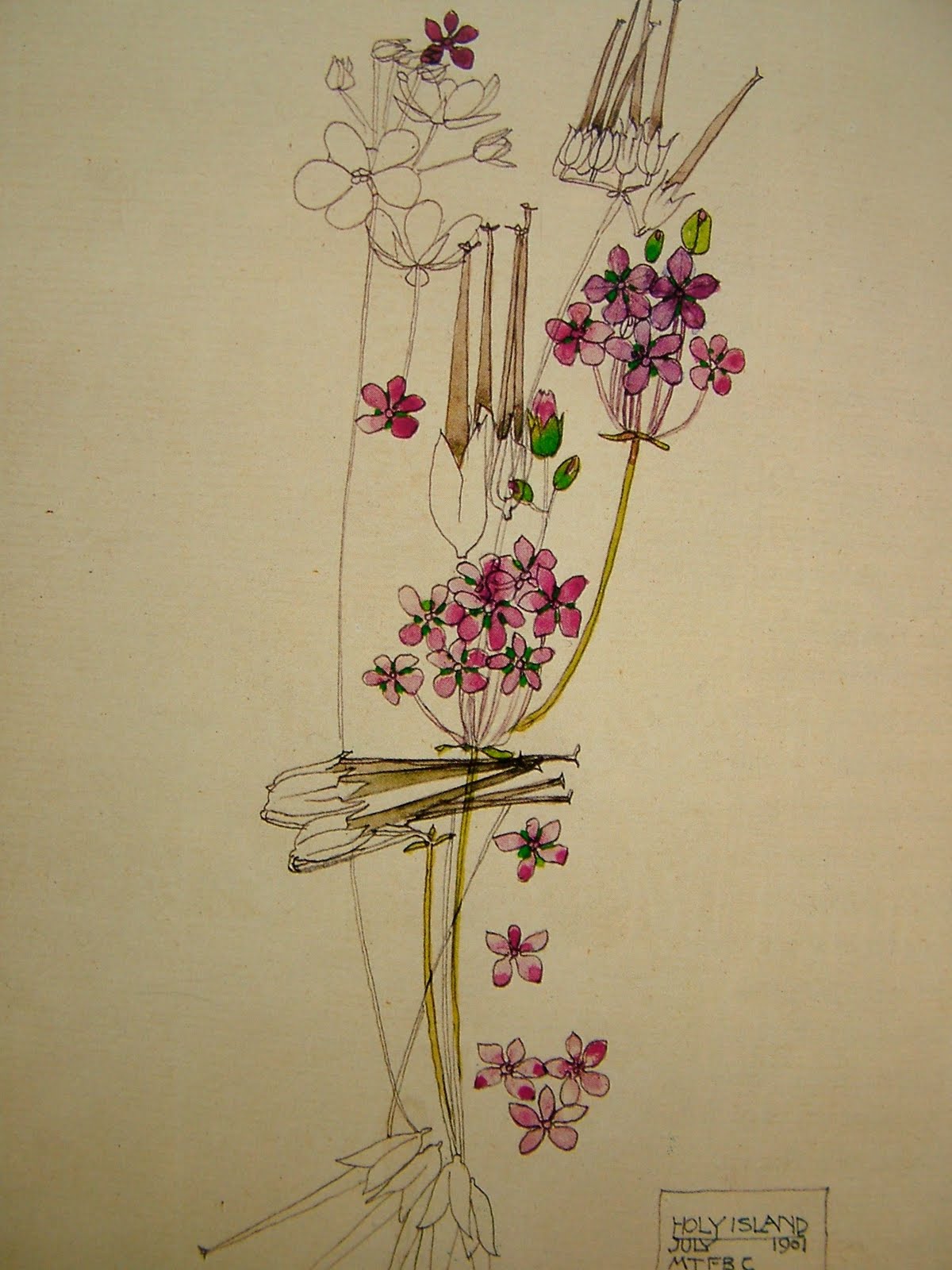 the kingdom: --------Charles Rennie Mackintosh----