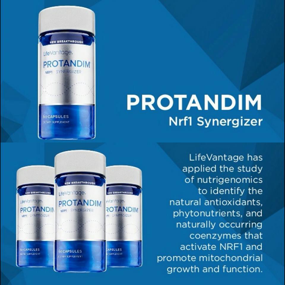 Lifevantage Thailand: Protandim Nrf1 Synergizer ประกอบไปด้วย