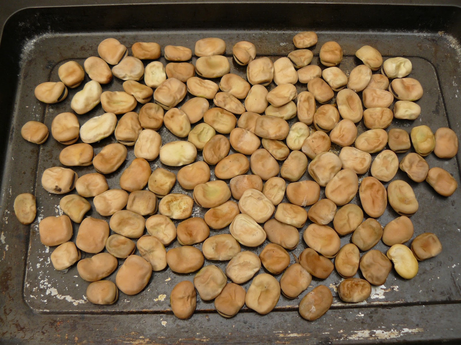 Outras Comidas: Secar Favas ( fava rica)