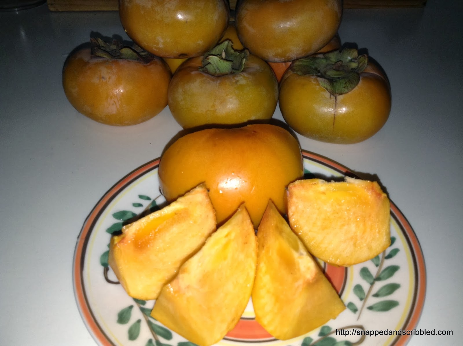 What Is.. A Persimmon? - Snapped and Scribbled