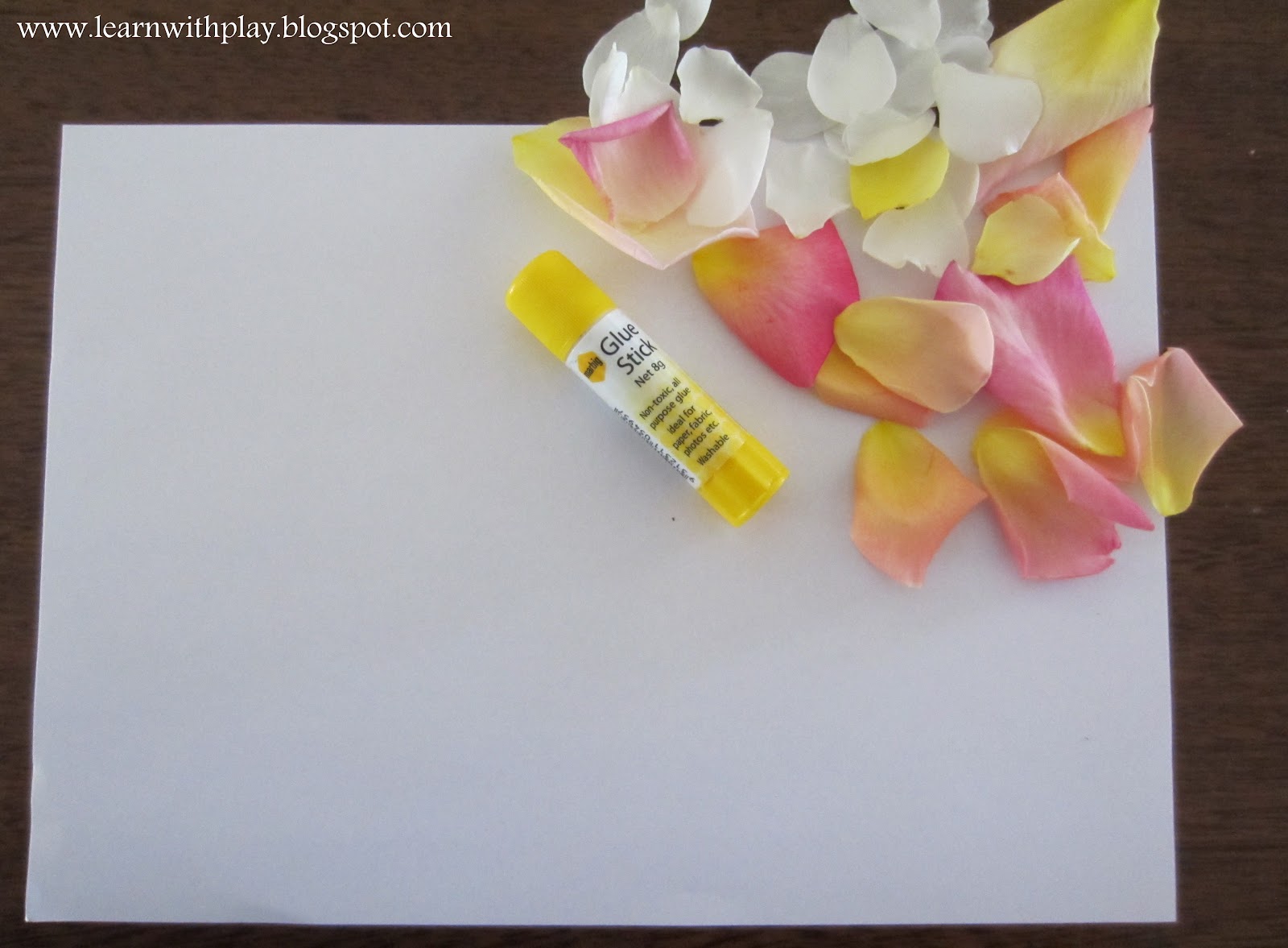 Learn with Play at Home: Sensory Flower Petal Picture
