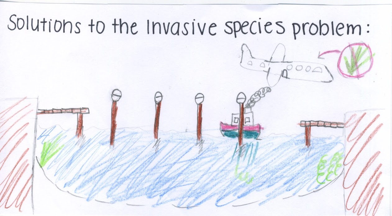 Oil Spills/Invasive Species