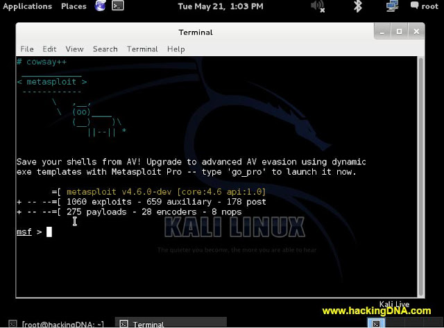 HackingDNA: PostgreSQL On Kali Linux