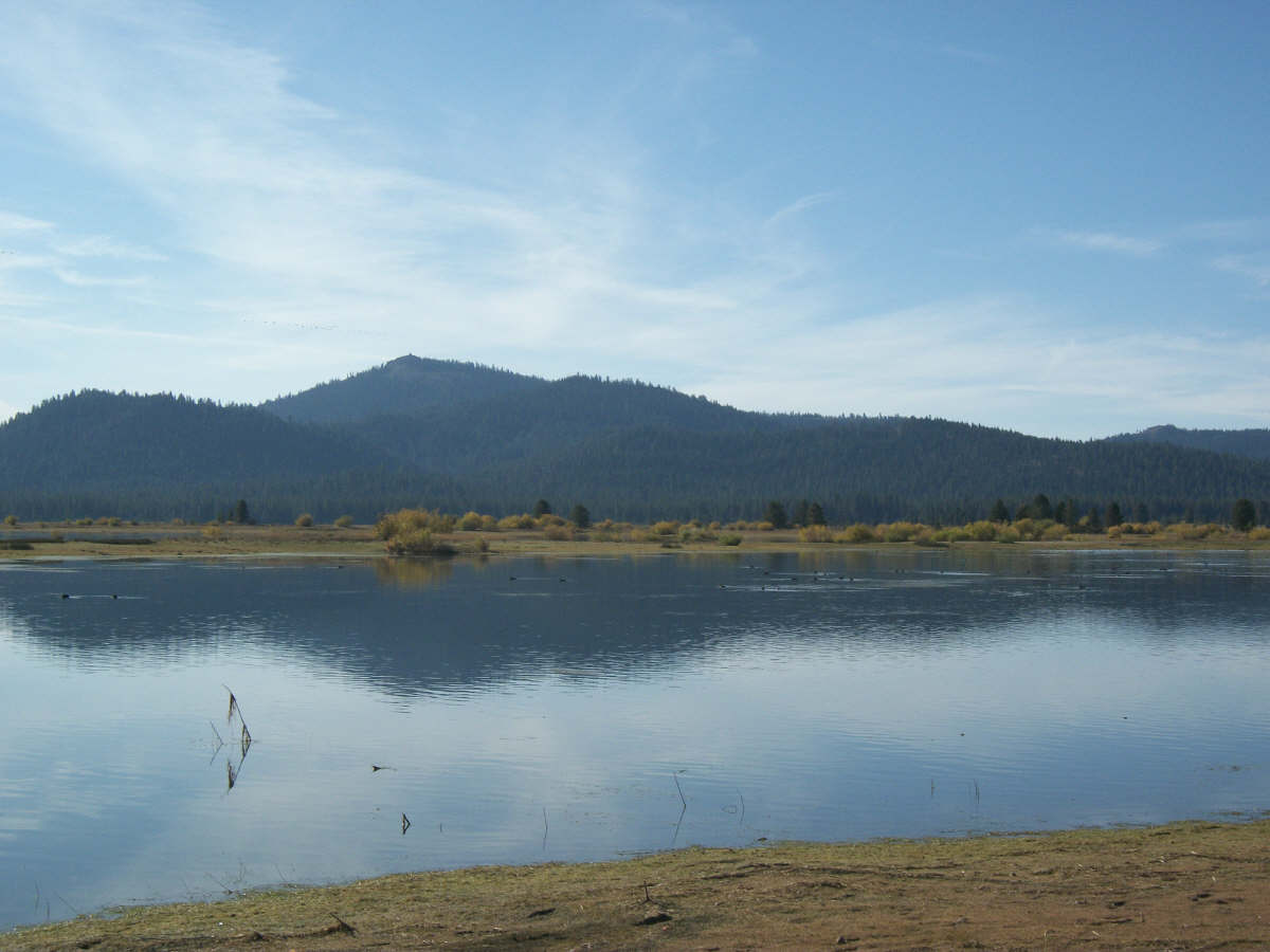 Jon Baiocchi Fly Fishing News: Sight Fishing Season Is Open At Lake Davis!