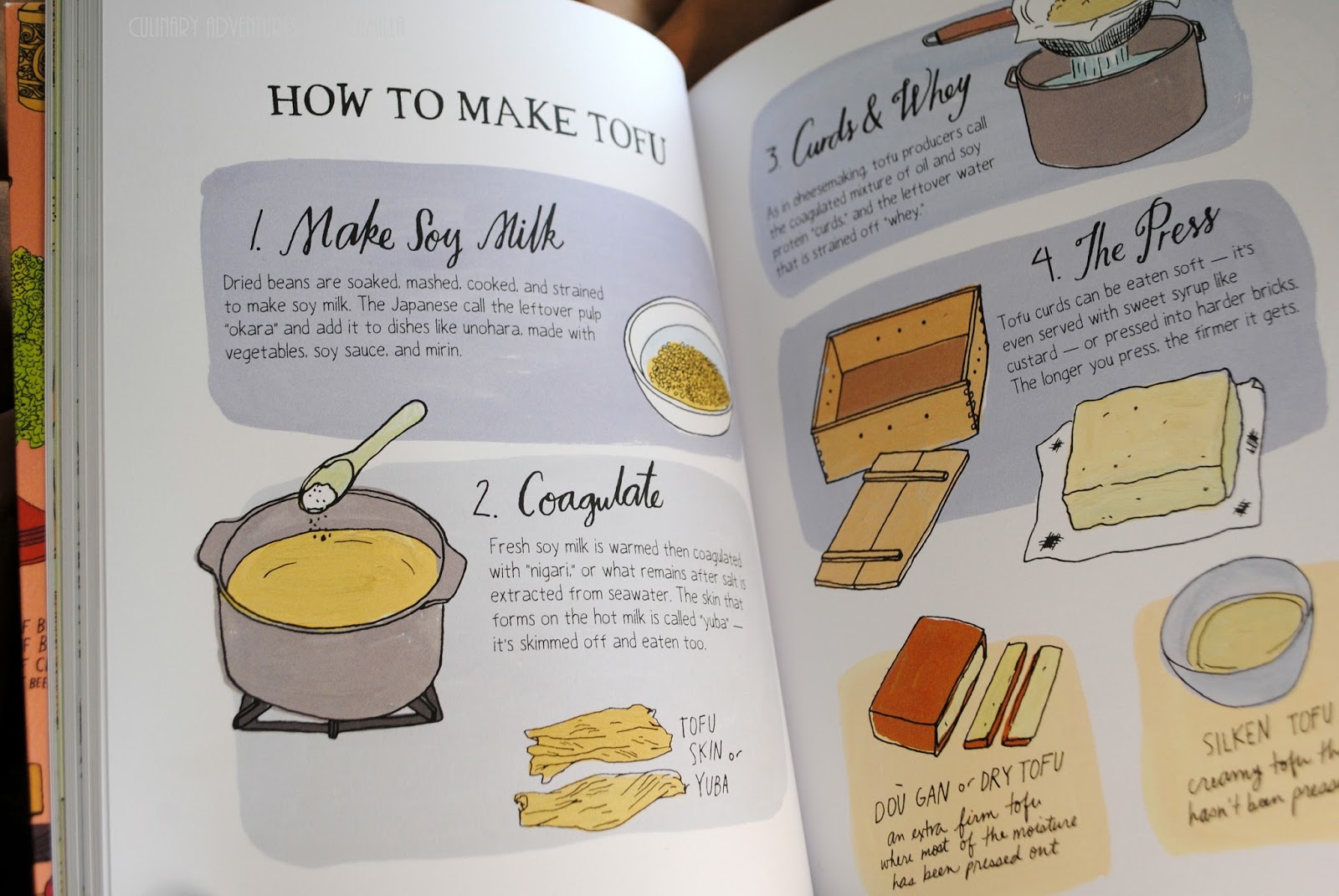 Food Anatomy: The Curious Parts & Pieces of Our Edible World for Foodie ...