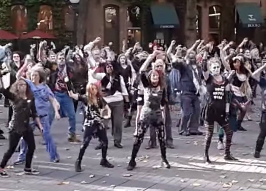 Friends of the Ballard Locks: Seattle Thrillers at the Locks