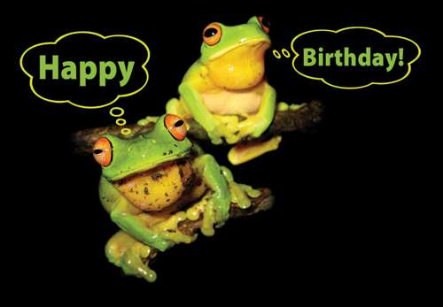 Frog Animated Birthday Card | Selective Messages