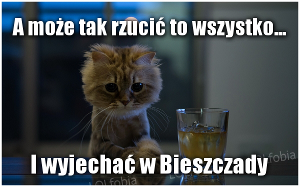 LOLfobia: Fajne memy na fb...