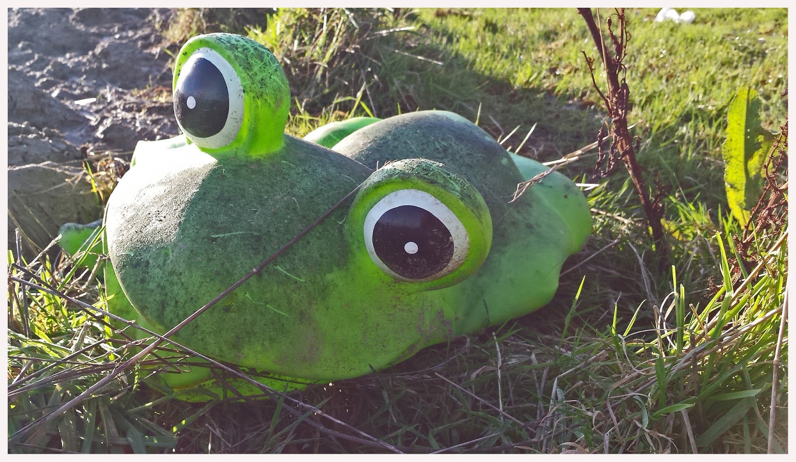 A Natural History of Paddock Wood in 2016: Church Farm (1) – Landscape ...