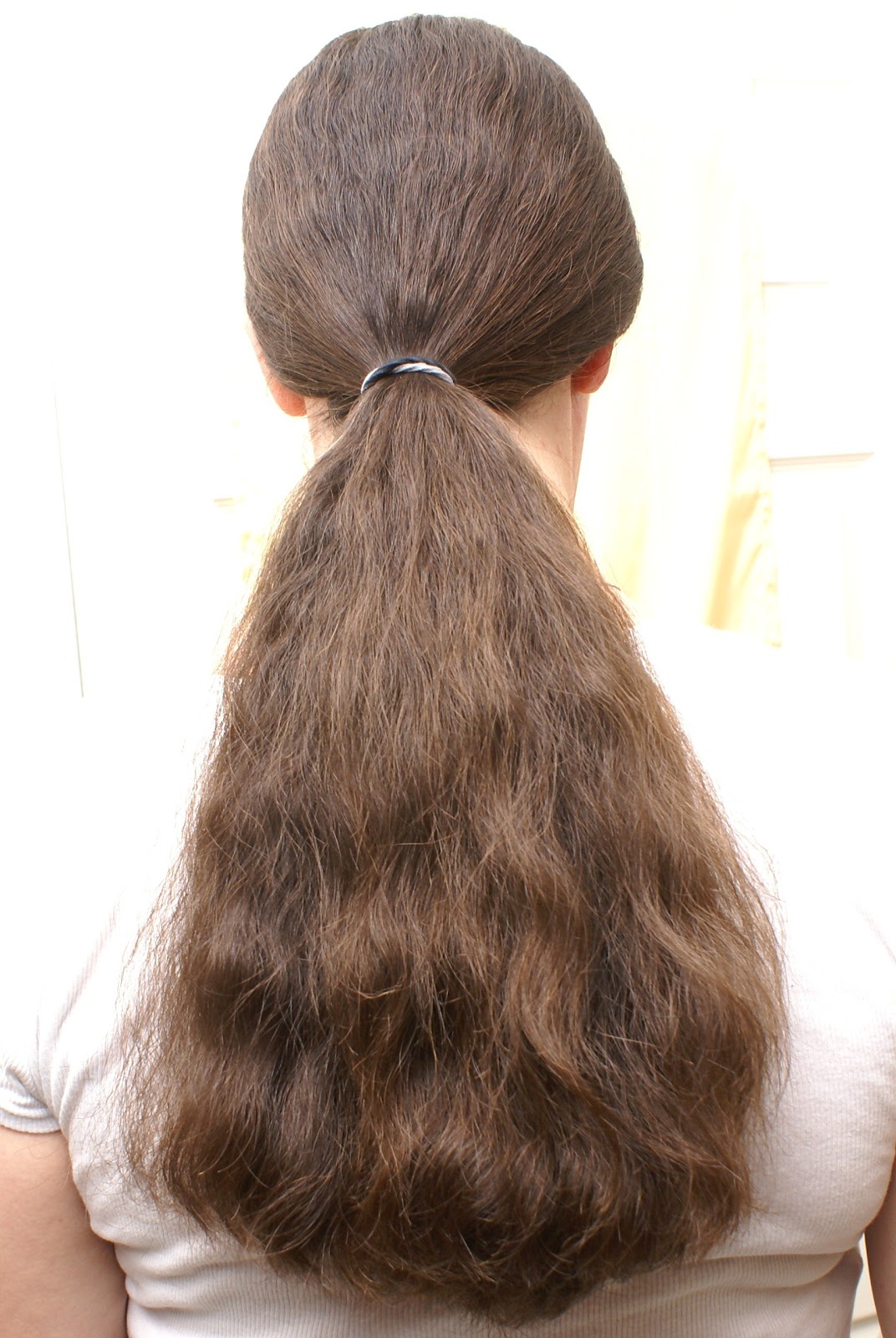 Chipped China: $400 Worth of Hair (alternate title: The Longest Ever "I ...