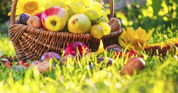 7 FRUTAS TÍPICAS DO OUTONO