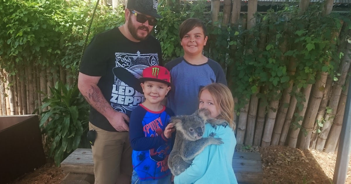 Average Aussie Dad: Average Aussie Dad - The door