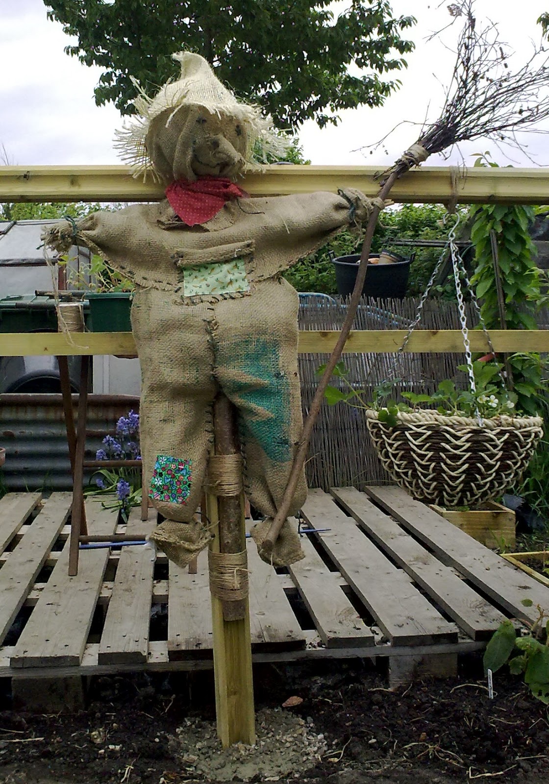 Allotments and other stuff