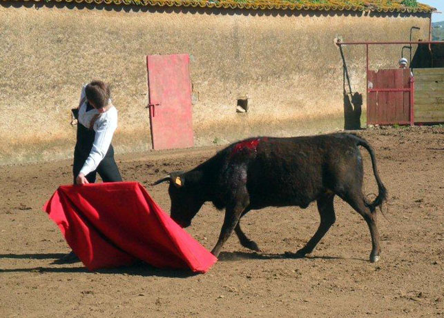 El Redondel Taurino: MARIO ALCALDE DE TENTADERO EN CASA DEL SR. ENG ...
