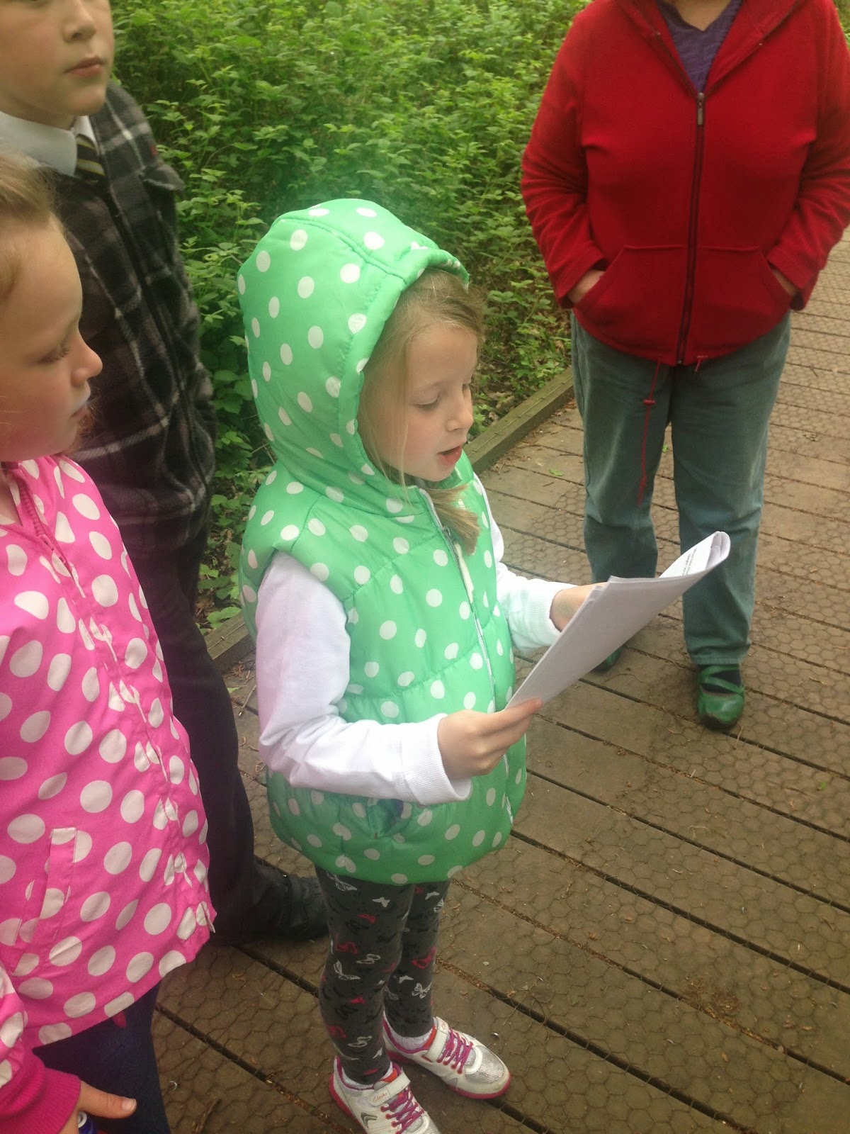 Halewood Arts Association: Junior Artists explore Halewood Park