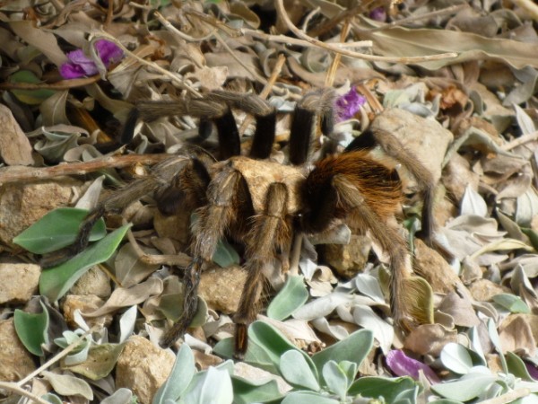 Andy & Mara's Family