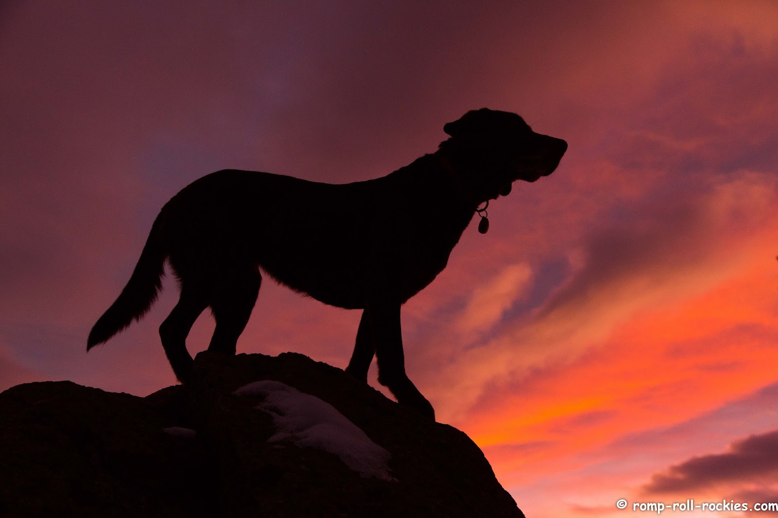 Romping and Rolling in the Rockies: Sunset and Silhouette Sunday