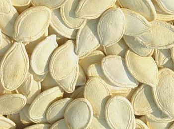 13 Khasiat Biji Labu Kuning Untuk Kesehatan | Khasiat