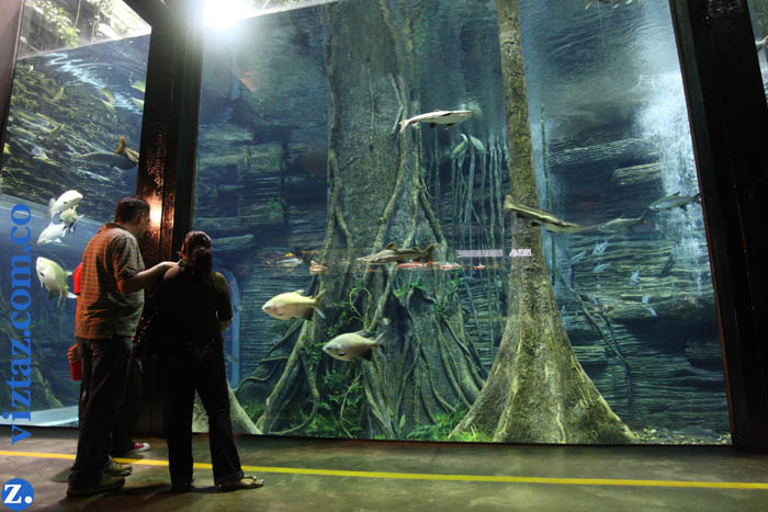 Medellín, Ciudad de la eterna primavera: Parque Explora: