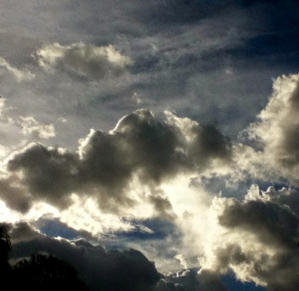 Watch the Shepherd: Lynn's Story: A Dangerous Engagement (DV Interview #3)