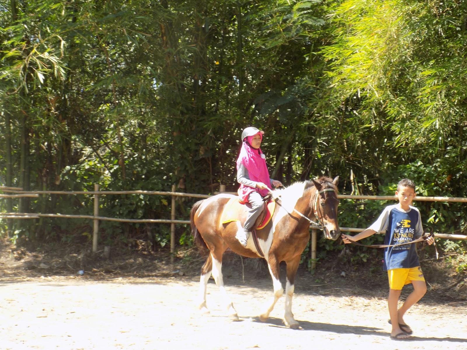 Berkuda di Bale Kuda Yogyakarta - . . . . . . . . . . S C R I B B L E