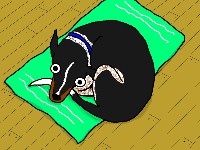 Hyperbole and a Half: Wild Animal (The Simple Dog Goes for a Joy Ride)