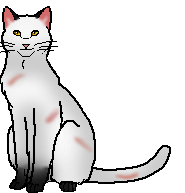 Bugs Blog: Leader Warrior Cats