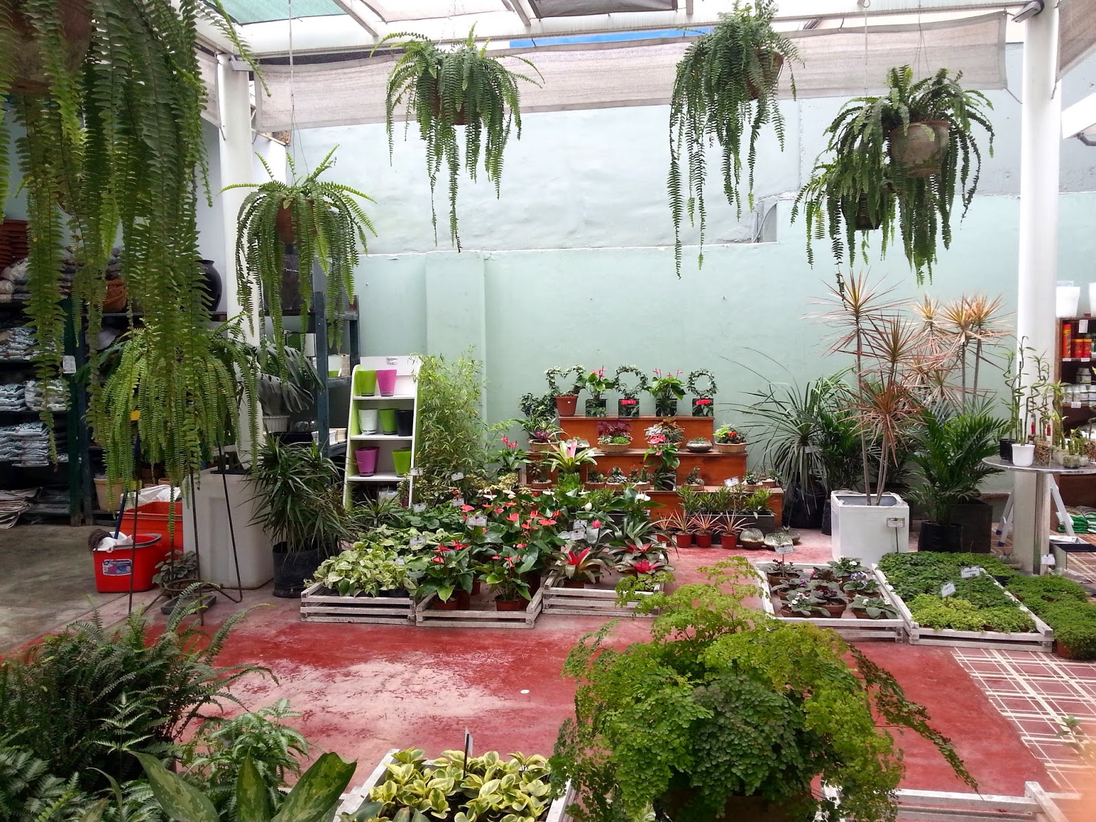 La agenda de una limeña: Vivero Cuatro Estaciones