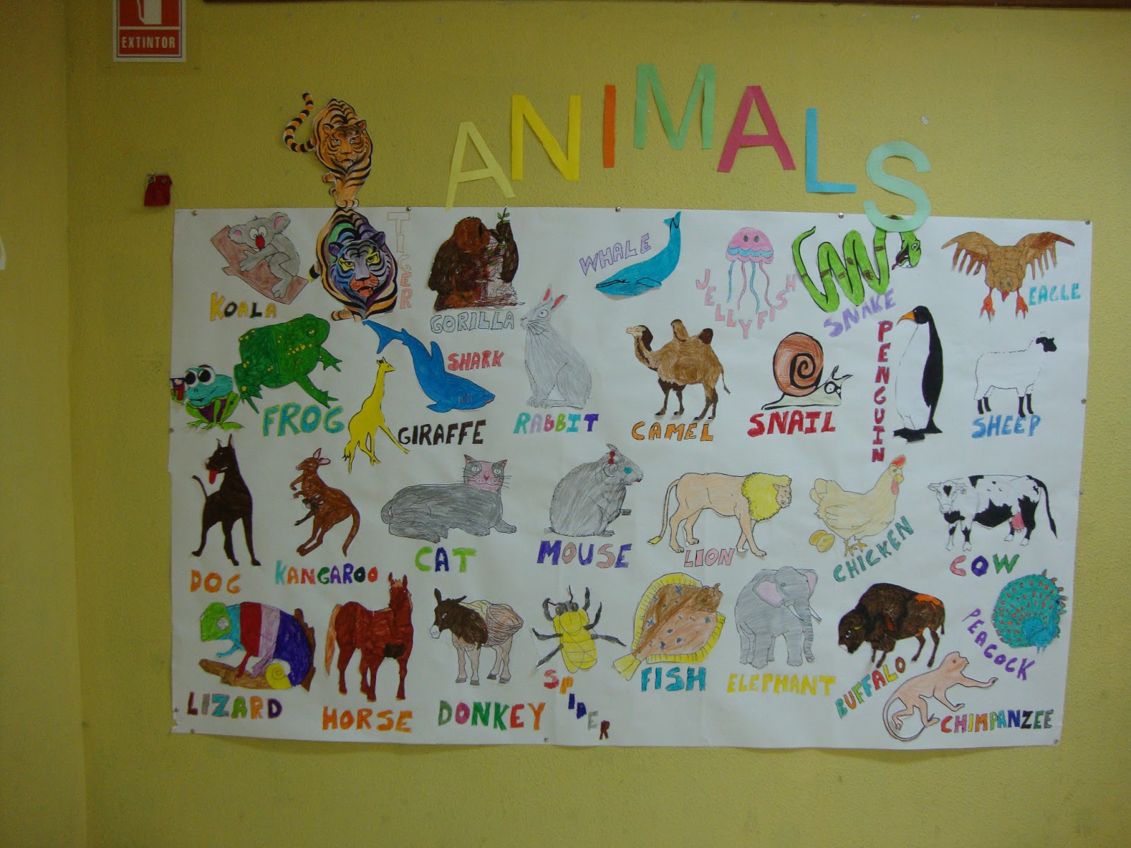 Blog bilingüismo Ceip Salvador Allende (Málaga): Animals