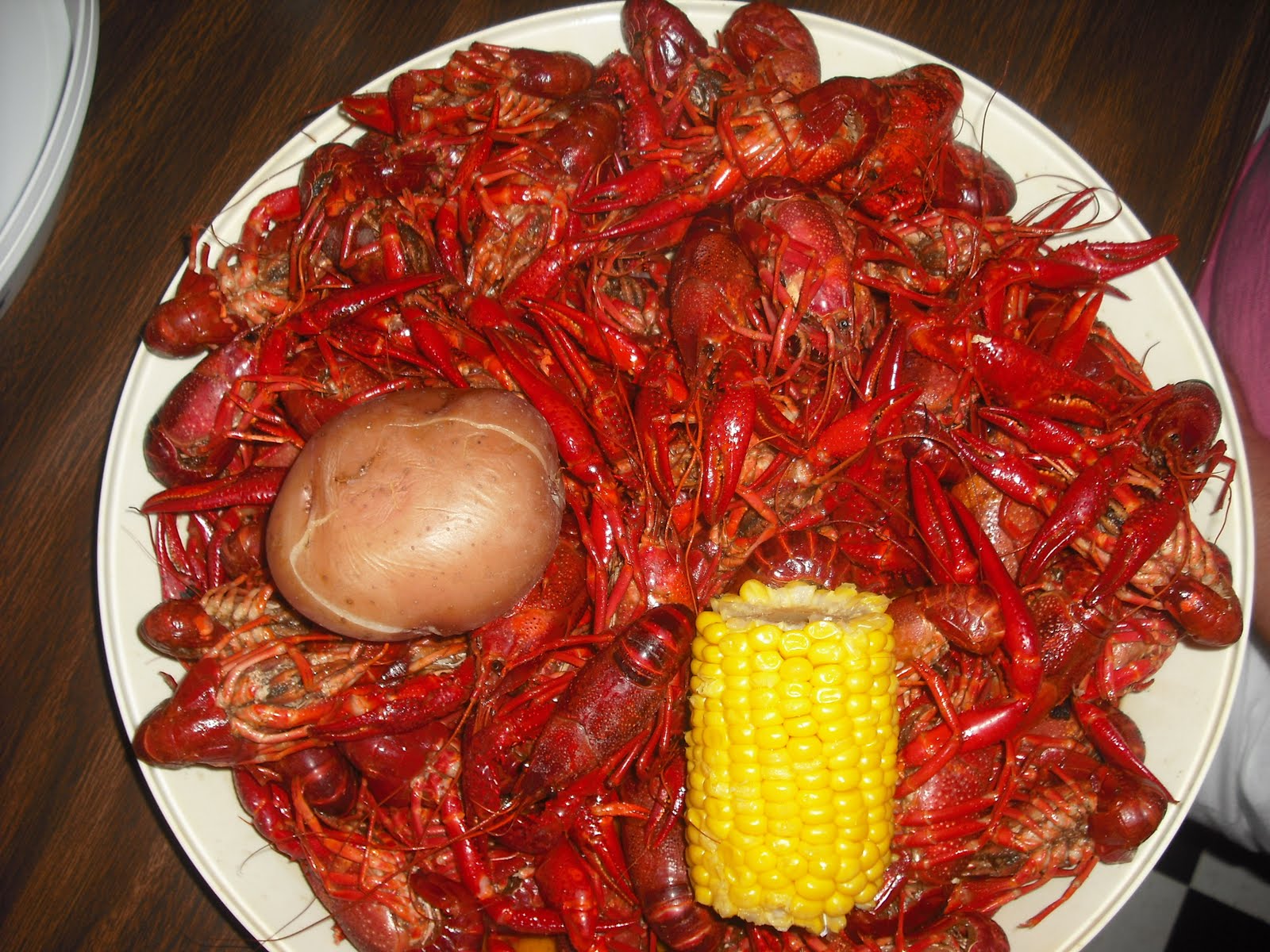 Sights, Sounds, and Tastes of the American South: Tasting Cajun Life