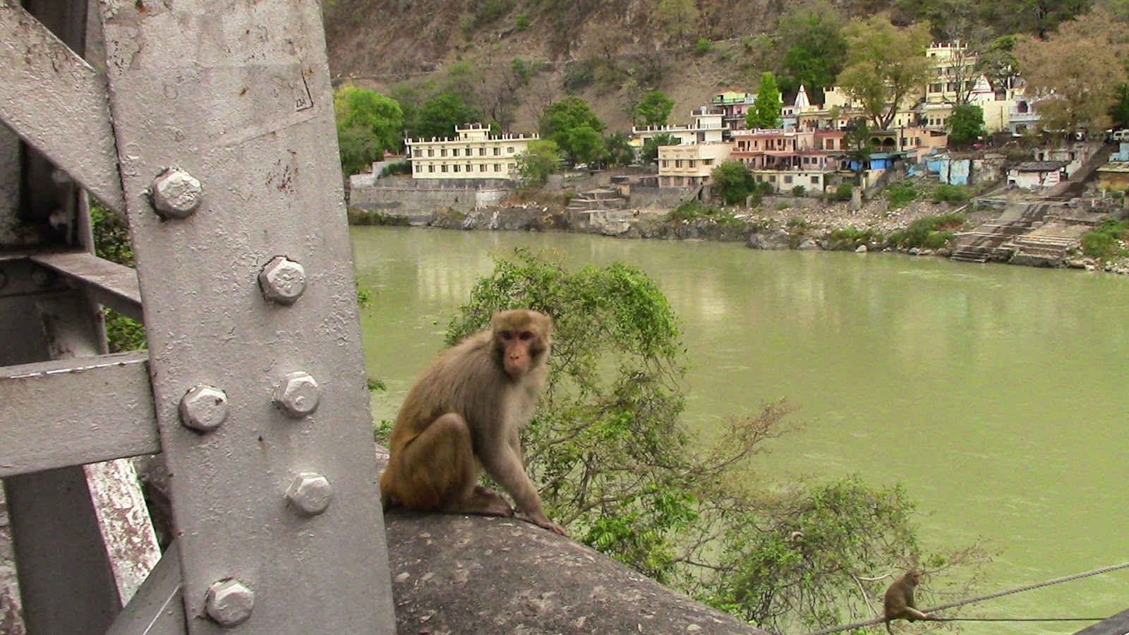 Go Green India: PHOTO GALLERY- THE GANGES