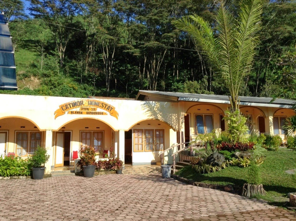 Catimor Homestay Kawah Ijen in Blawan Bondowoso | Bromo Tour Travel ...