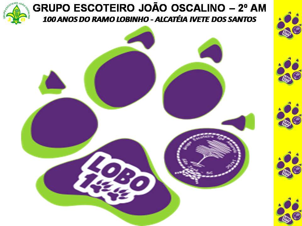 GRUPO ESCOTEIRO JOÃO OSCALINO : 100 ANOS DO RAMO LOBINHO - NÓS TAMBÉM ...