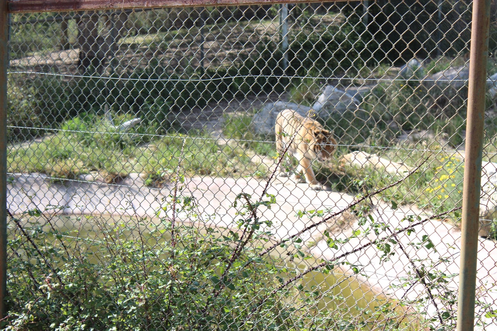 abc Travel: BADOCA SAFARI PARK