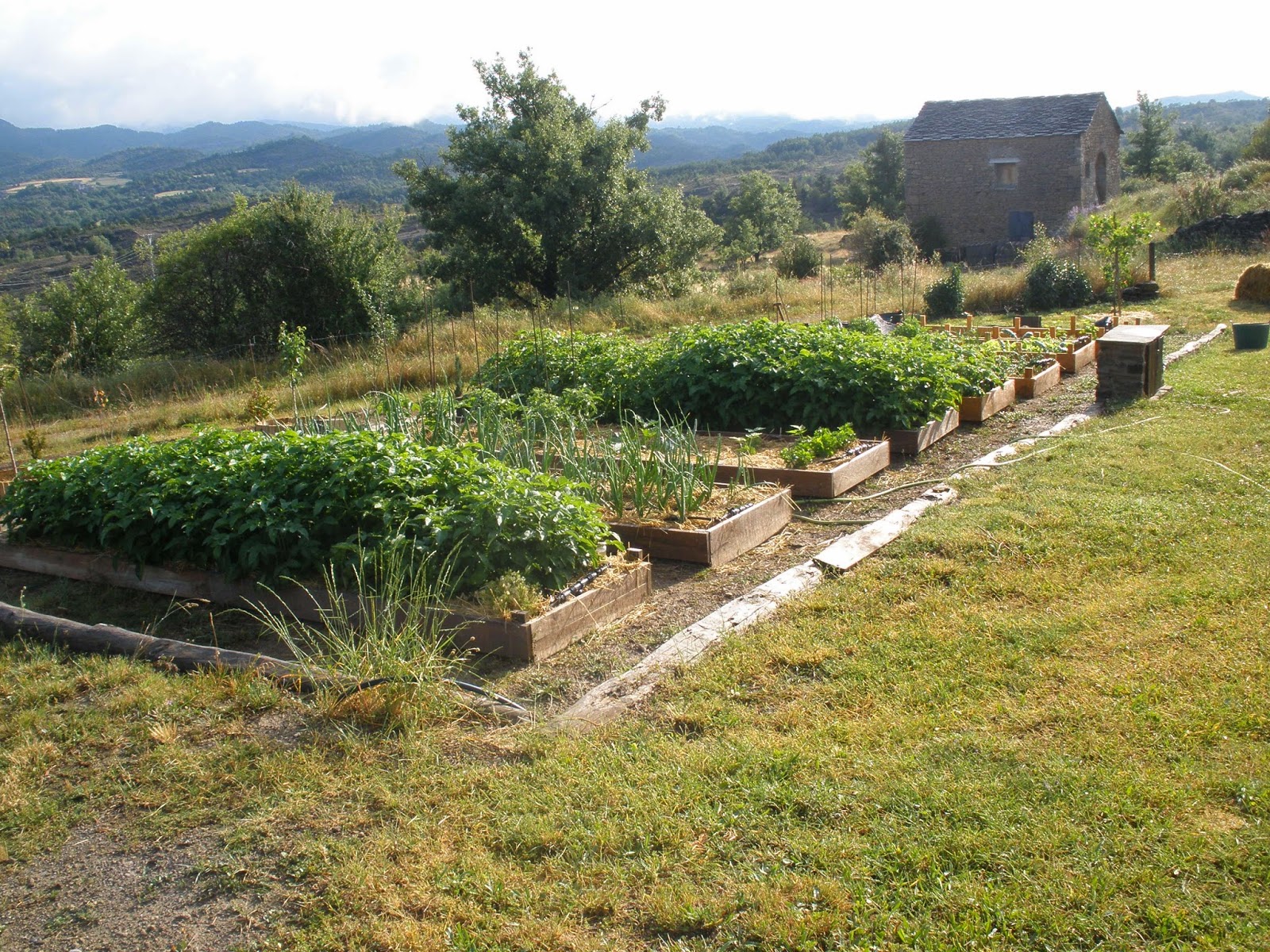 El Jardín de Gautama : Bancales elevados