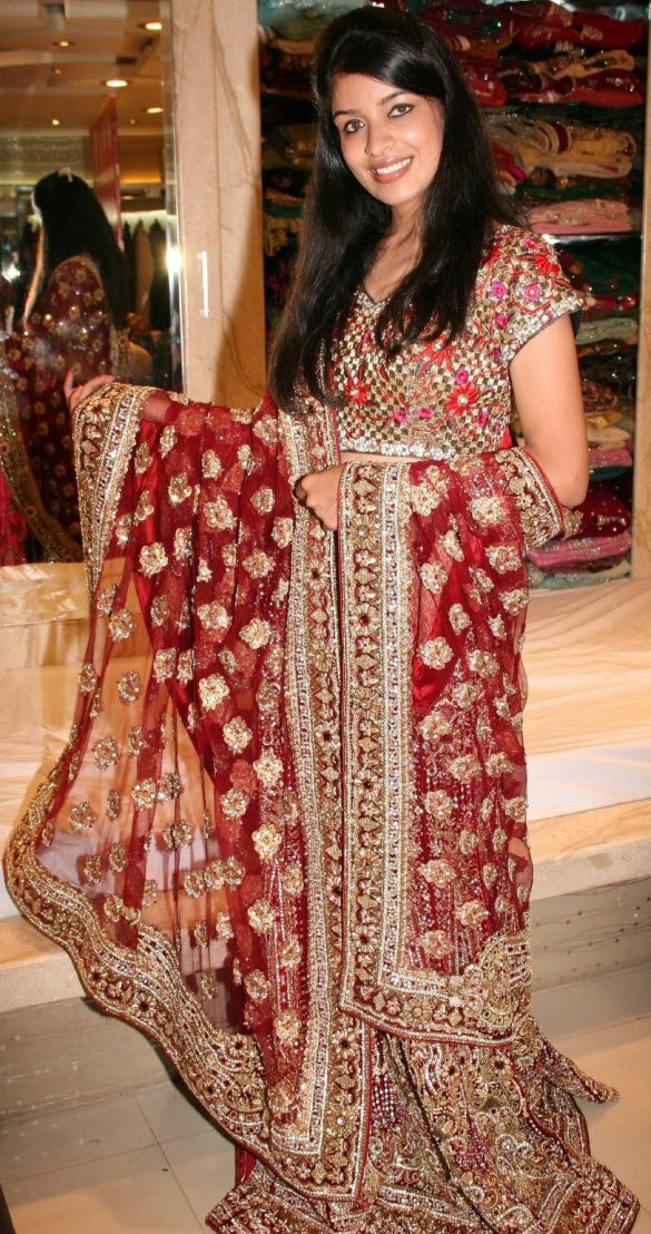 Actress, Actors, Pictures Collections: Annie Ruby in Saree